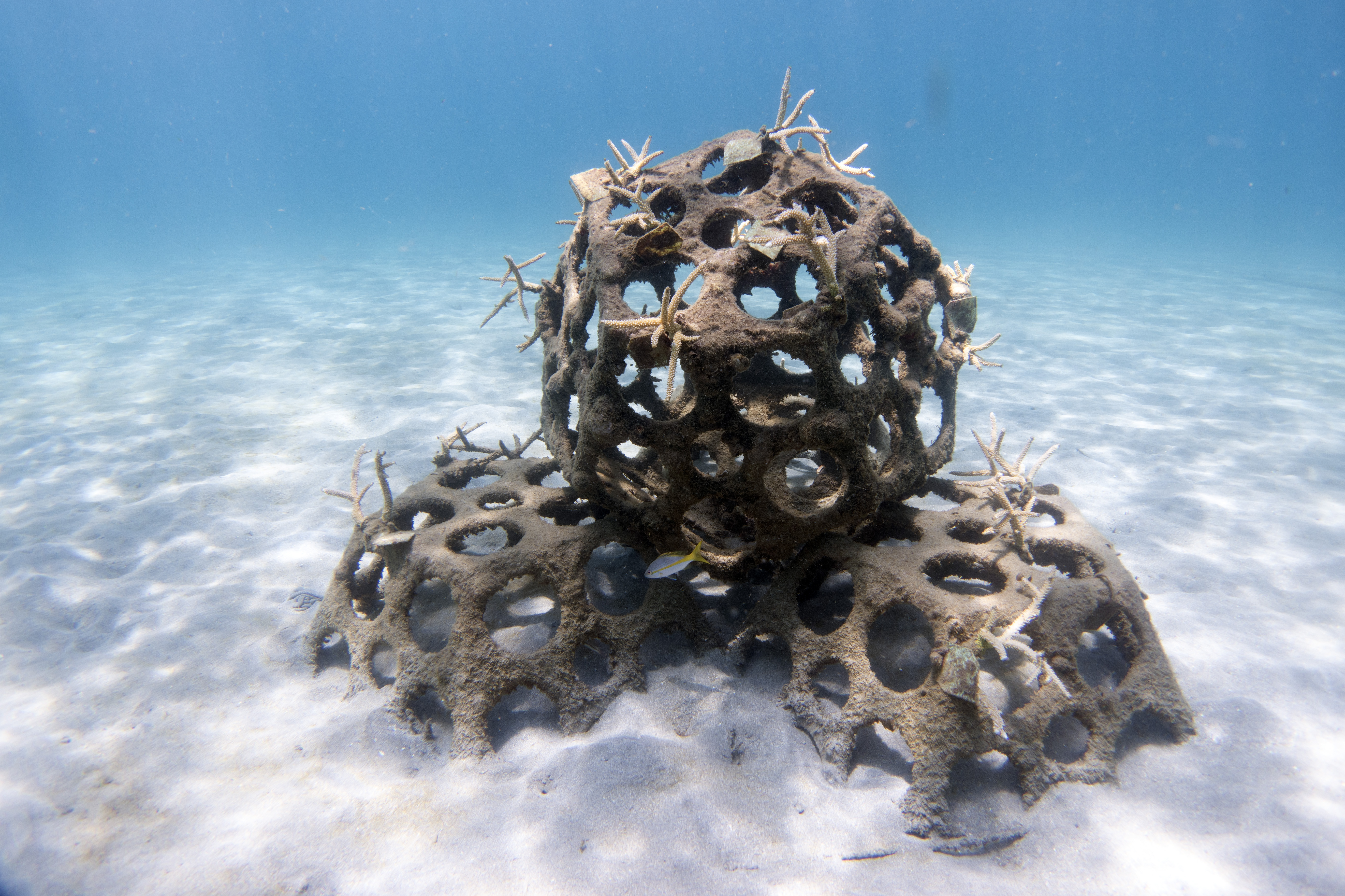 Artificial Reefs Program | Boskalis