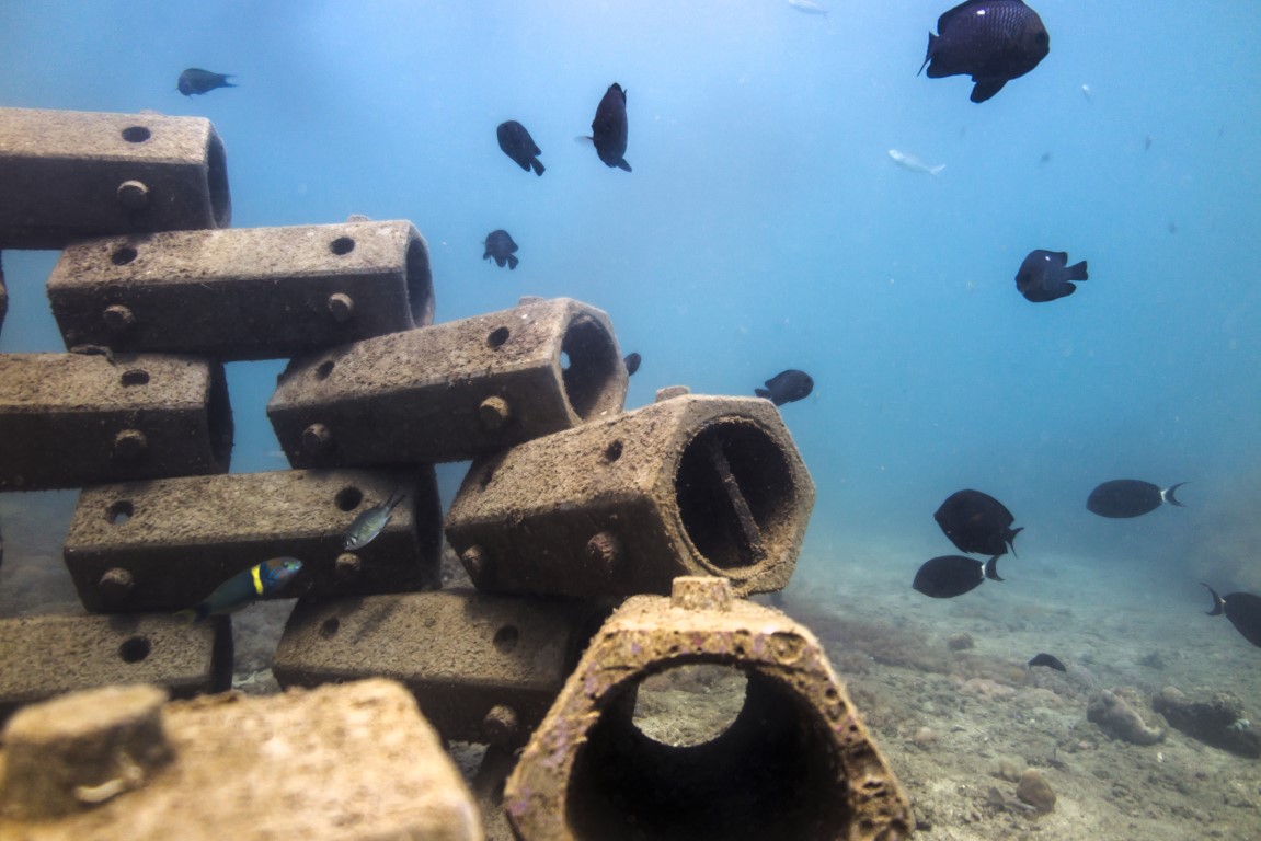 Artificial Reefs Program | Boskalis