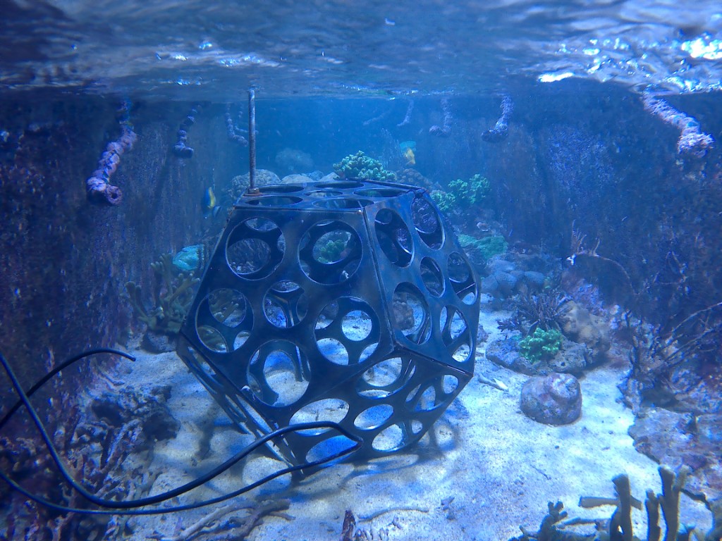 Artificial Reefs Program | Boskalis