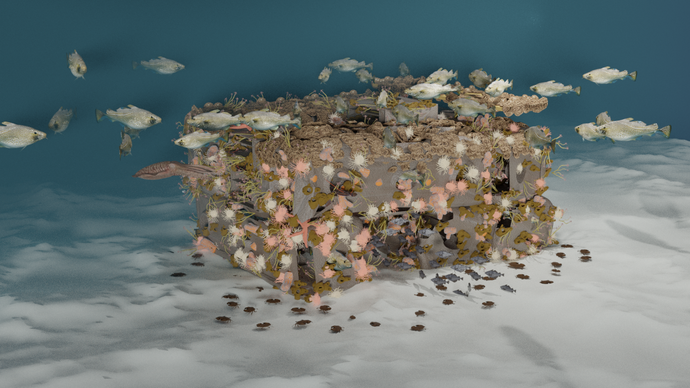 Artificial Reefs Program | Boskalis