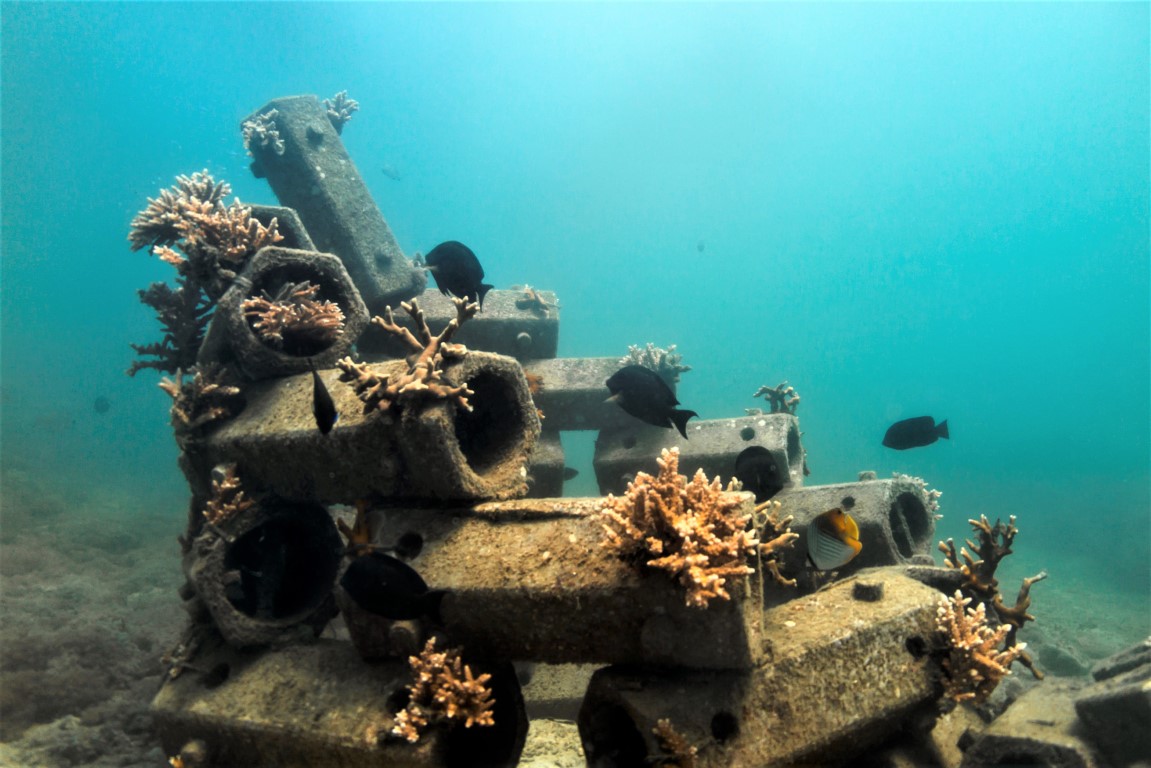 Artificial Reefs Program | Boskalis