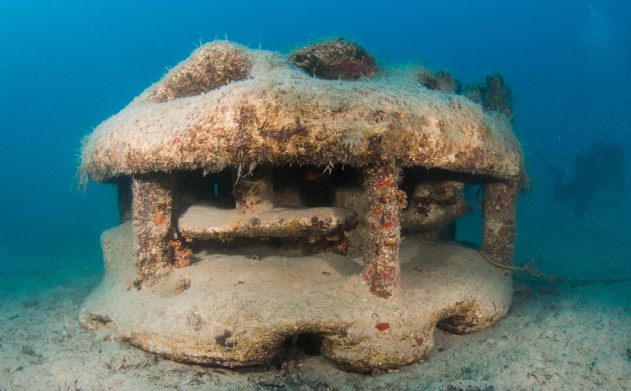 Artificial Reefs Program | Boskalis