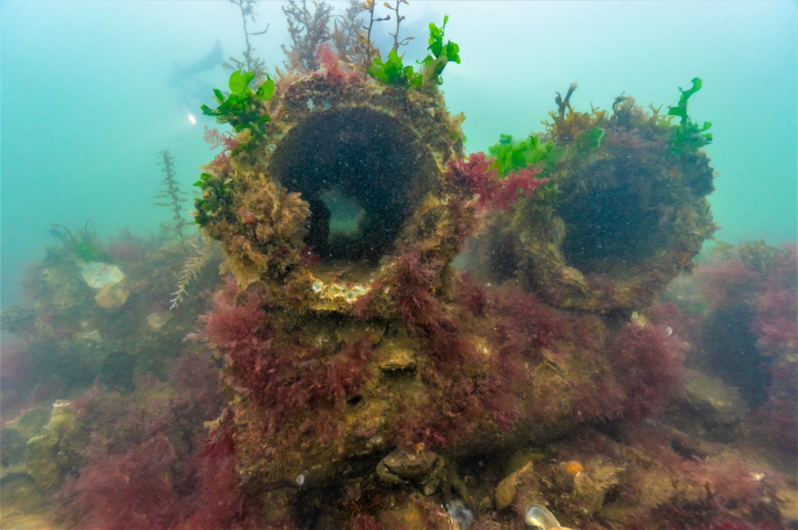 Artificial Reefs Program | Boskalis