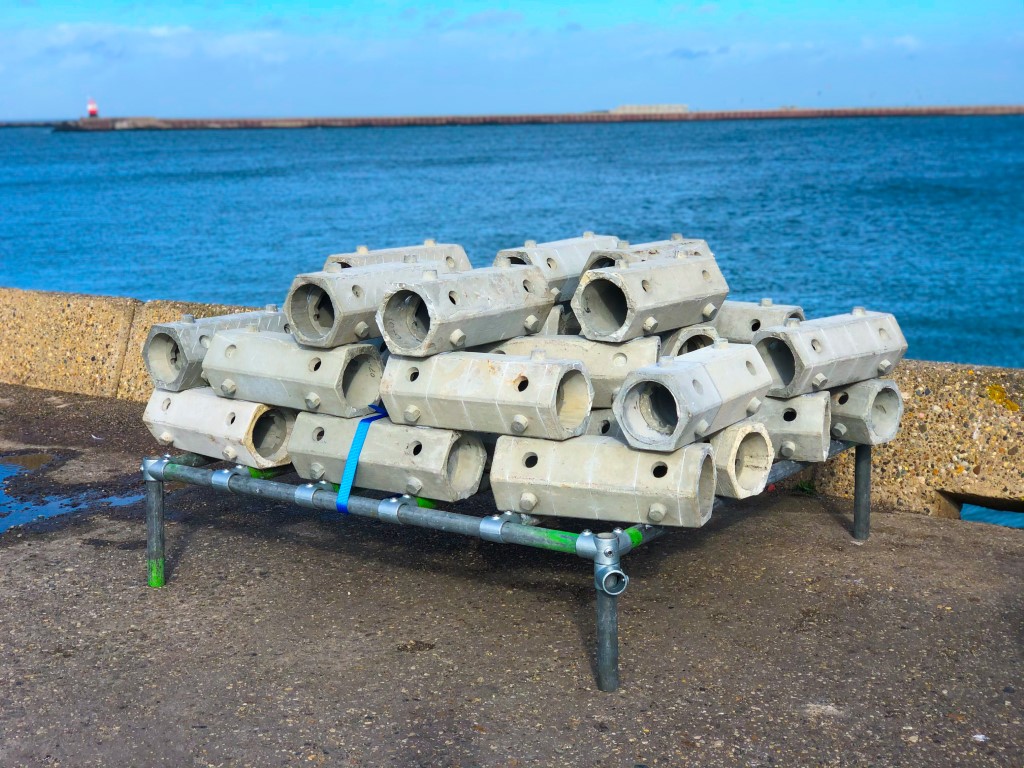 Artificial Reefs Program | Boskalis